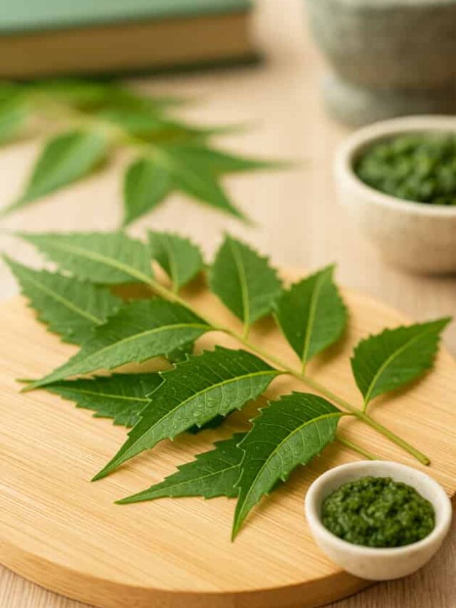 Neem Oil vs. Neem Leaves: Benefits Compared - adicreator.net